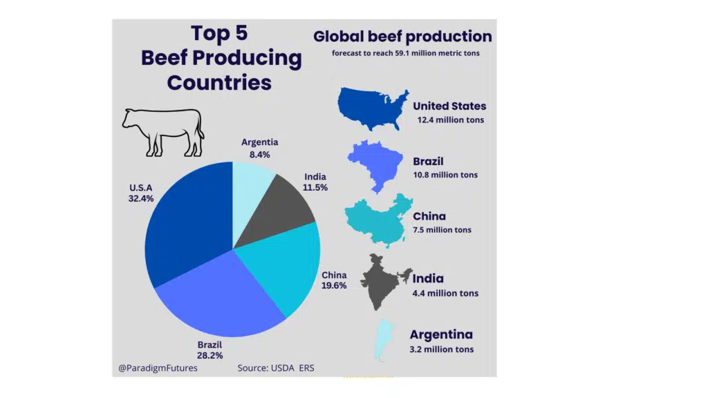 Top Beef-Producing Countries in 2024 | Paradigm Futures