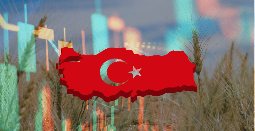 Production Meets Policy: Turkey’s Grain Outlook | Paradigm Futures