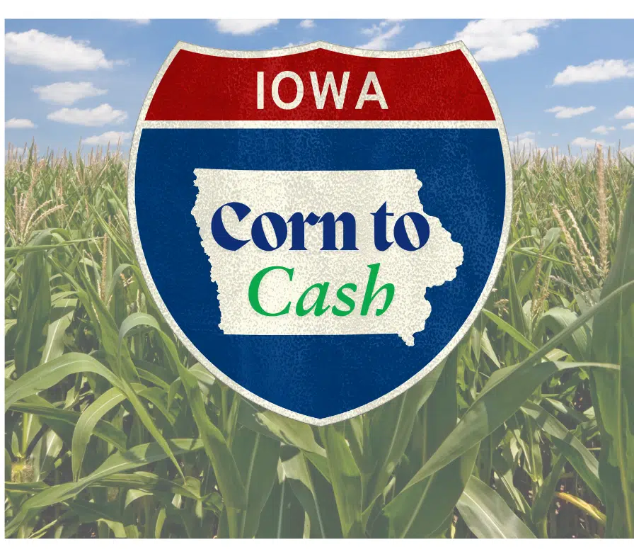 Corn to Cash How Paradigm Futures Navigates Iowa Commodities | Paradigm ...