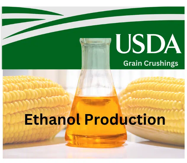 Ethanol Production Anomalies: USDA Data Breakdown. | Paradigm Futures