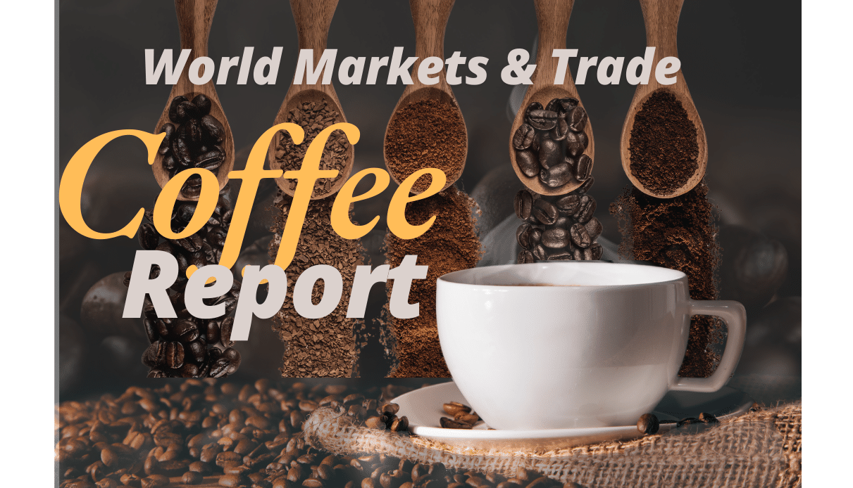 Premium Beans on the Rise: Specialty Coffee Demand Soars | Paradigm Futures