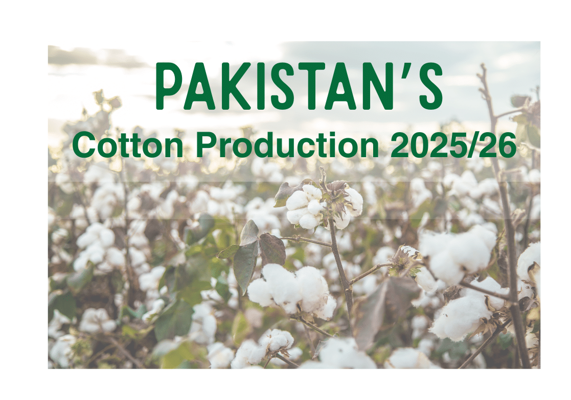 Pakistan’s Cotton 25/26: Production Rebound | Paradigm Futures
