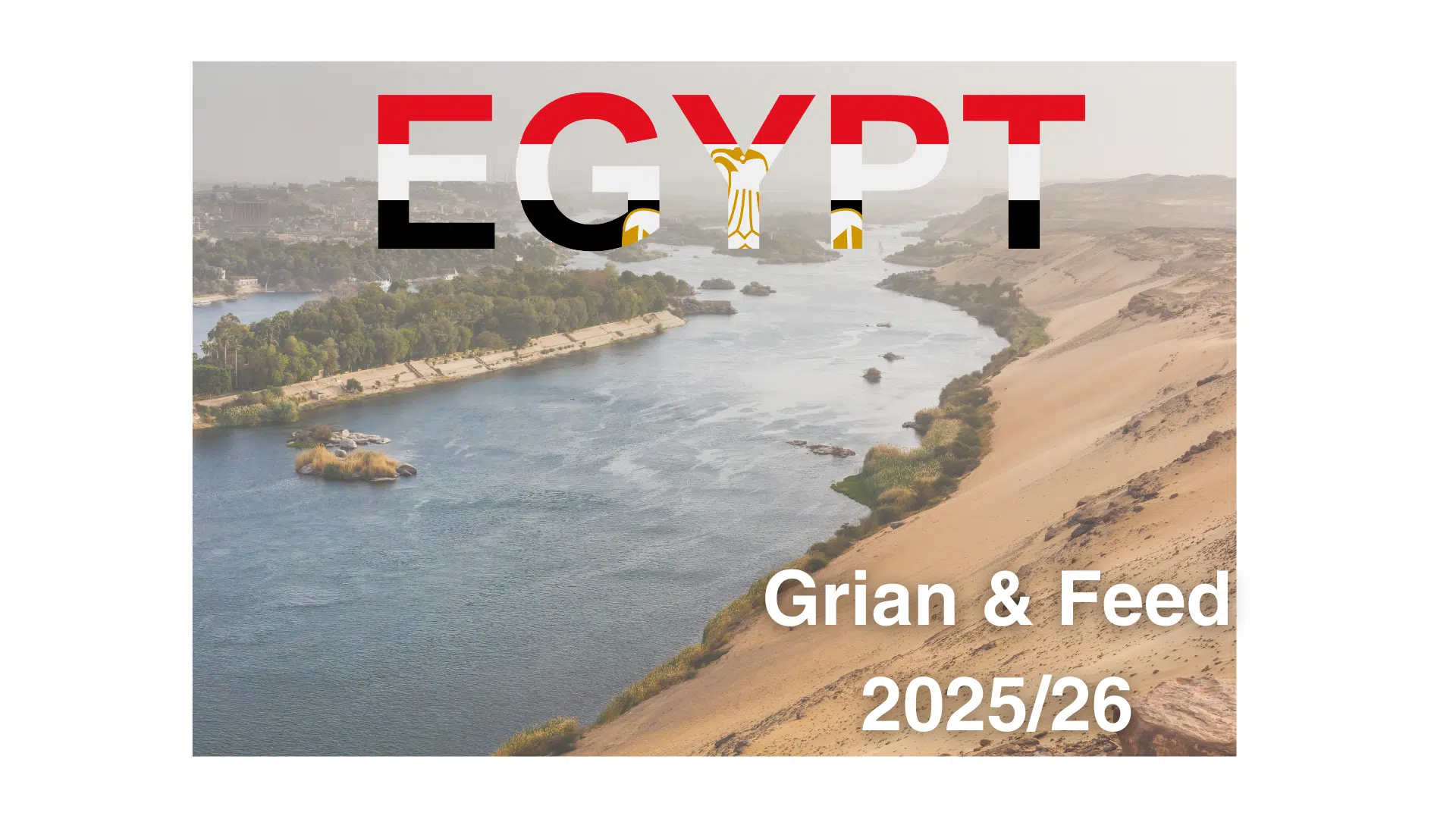 Egypt’s Grain & Feed 2025/26 Steady Wheat, Rising Corn. | Paradigm Futures