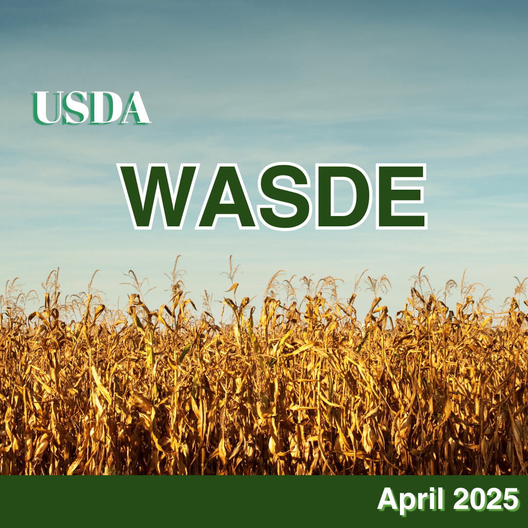 Corn Gains Traction, Soy Crush Ramps Up- April WASDE Breakdown ...