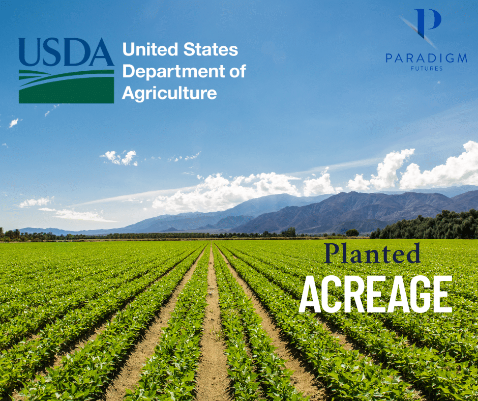 2025 USDA Acreage and Grain Stocks Report Highlights | Paradigm Futures