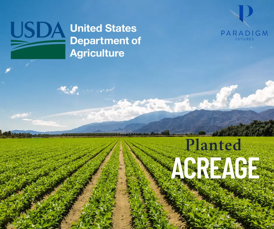 2025 USDA Acreage and Grain Stocks Report Highlights | Paradigm Futures