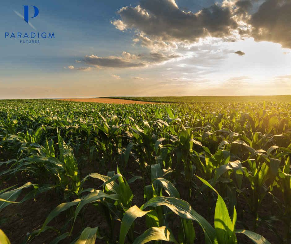 Grain Futures Breakdown – Corn Drops Sharply, Soybeans Slide | Paradigm ...