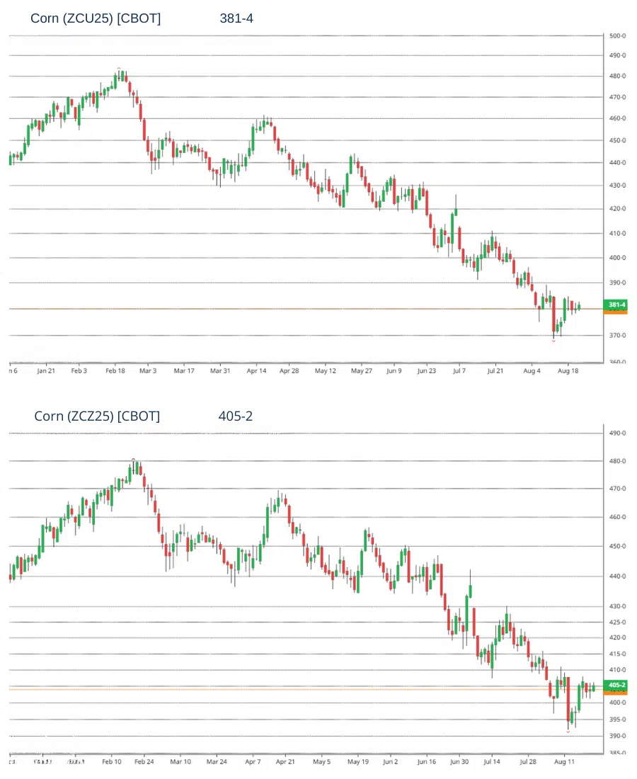 Basis and Spreads: What They Are & How They Work | Paradigm Futures