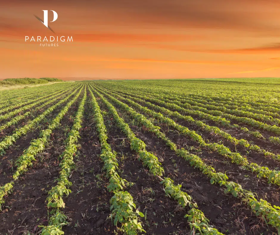 $12B Farmers Assistance Package, Here's What We Know. | Paradigm Futures